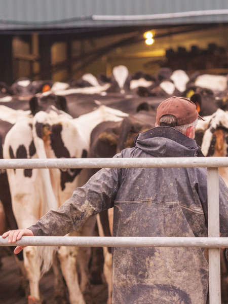 Climbing the value chain | Fonterra Co-operative Group