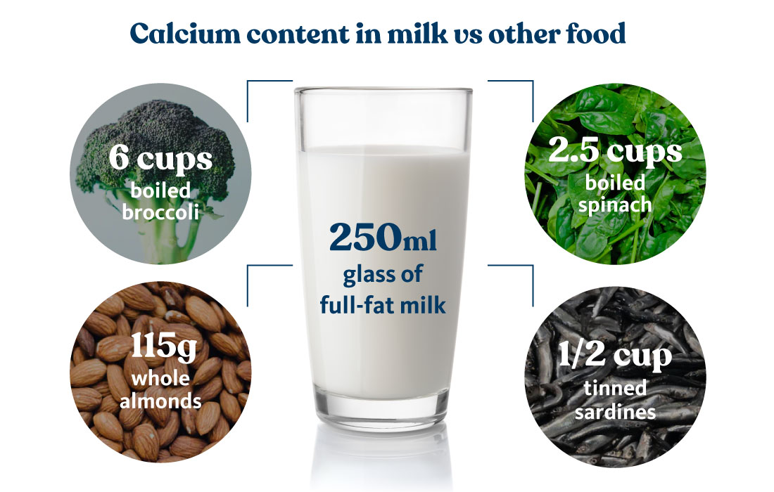 Milk nutrition facts for World Milk Day | Fonterra Co-operative Group