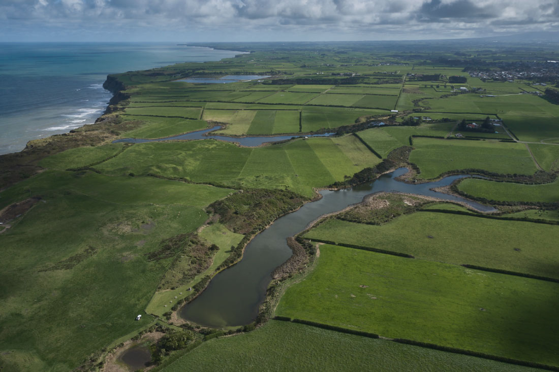 Promising results for Fonterra and Nestlé’s Net Zero Pilot Dairy Farm