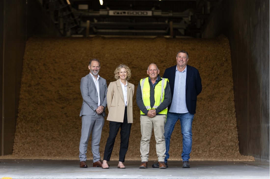 Cheese from trees: Fonterra Stirling site running on wood biomass