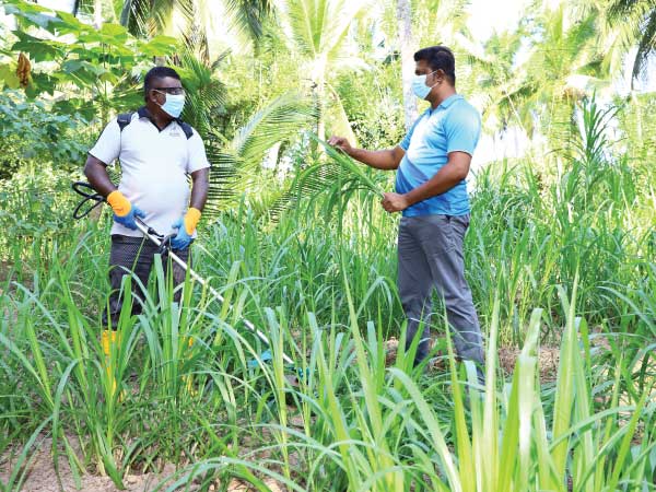 Fonterra distributes value bundle to boost farmers’ productivity